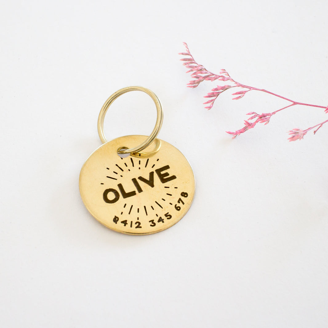 Dog ID tags – Drive 'Til Dawn